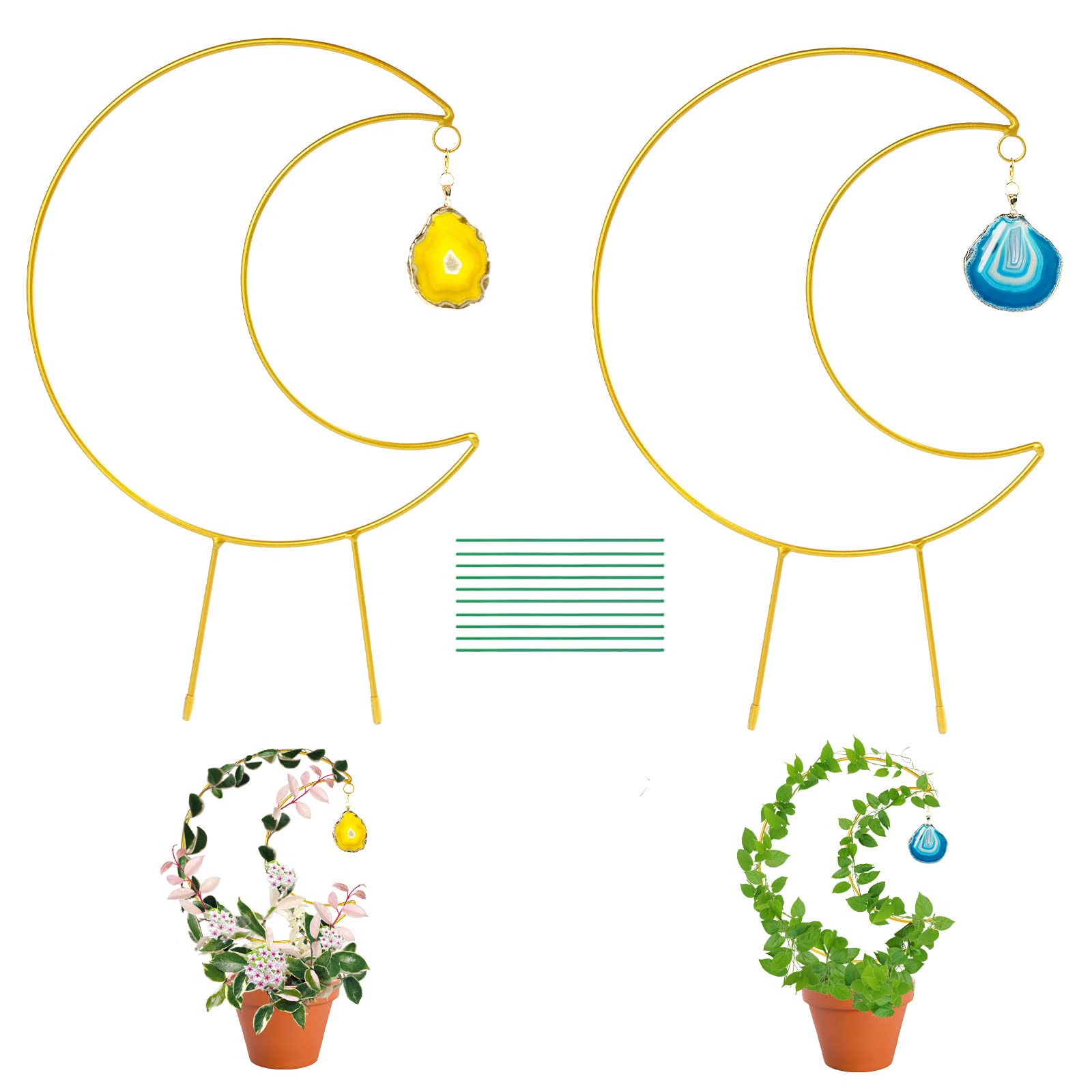 Amazon.com : Ceiner 2PCS Small Crescent Moon Plant Trellis, Metal Mini ...