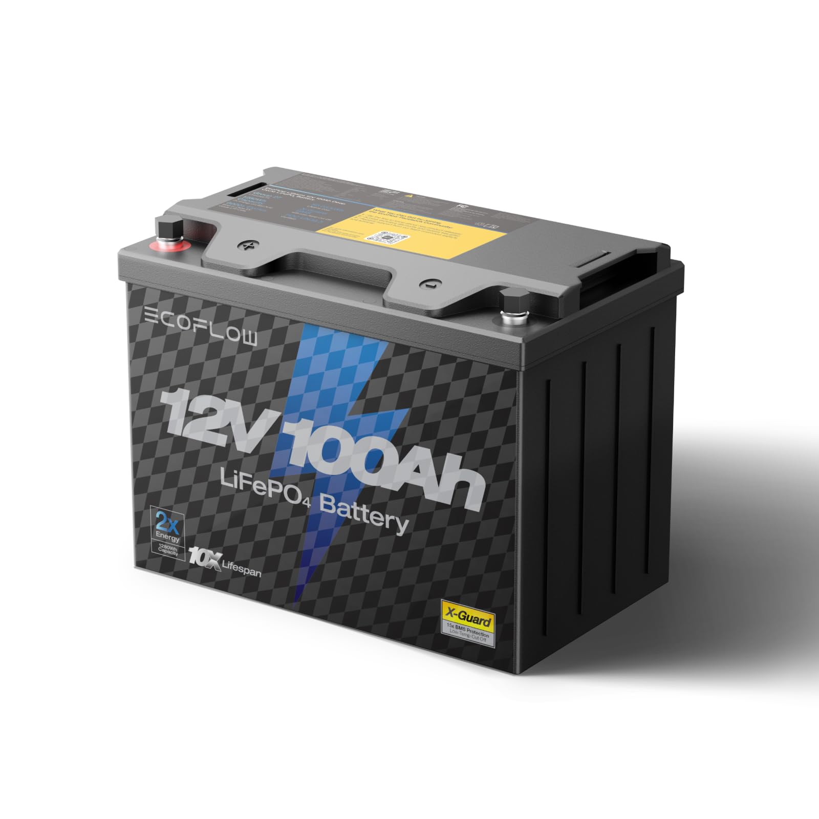 Amazon.com: EF ECOFLOW 12V 100Ah LiFePO4 Battery, Built In 100A BMS ...