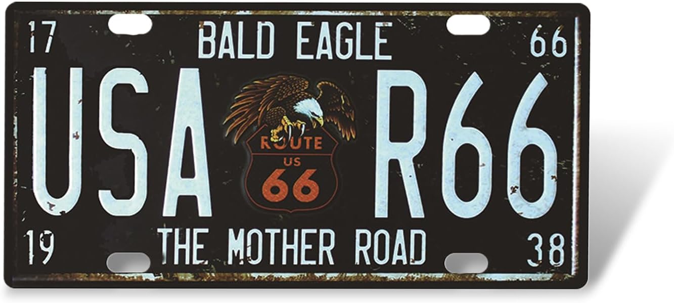 Amazon.com: Dewkou Pack-1 Personalized Car License Plate, 11.81" x 5.9 ...