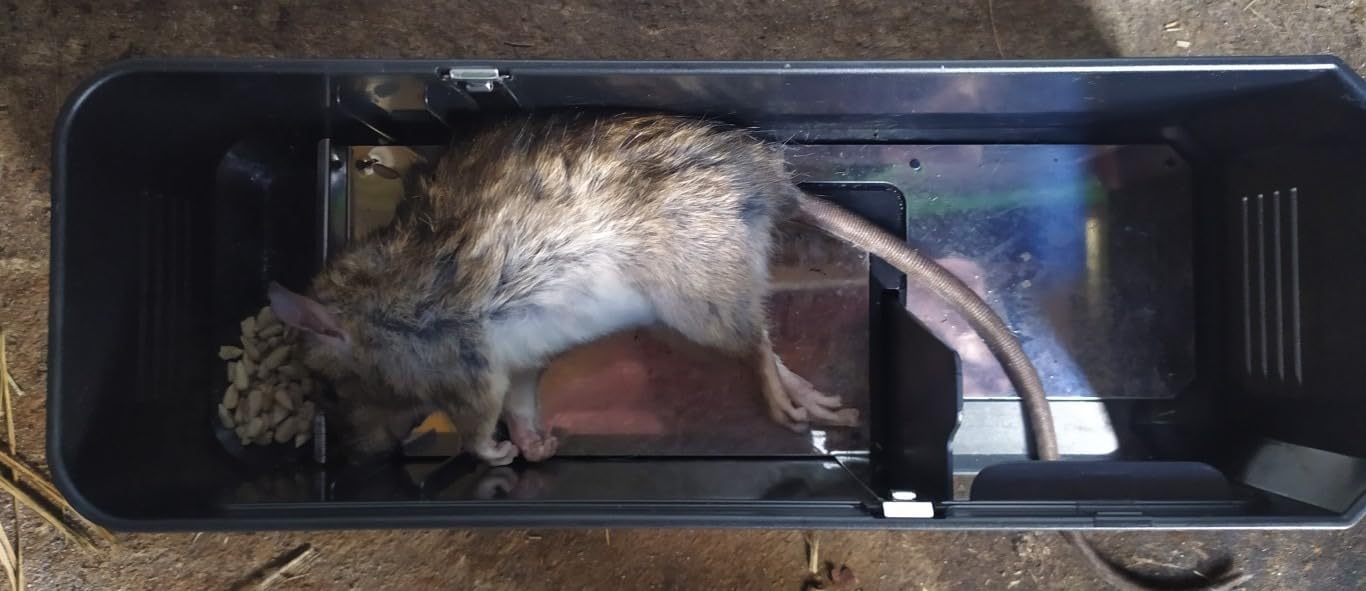 OWLTRA OW-7 in-/Outdoor Electric Rodent Trap, Instant Kill Mouse & Rat ...