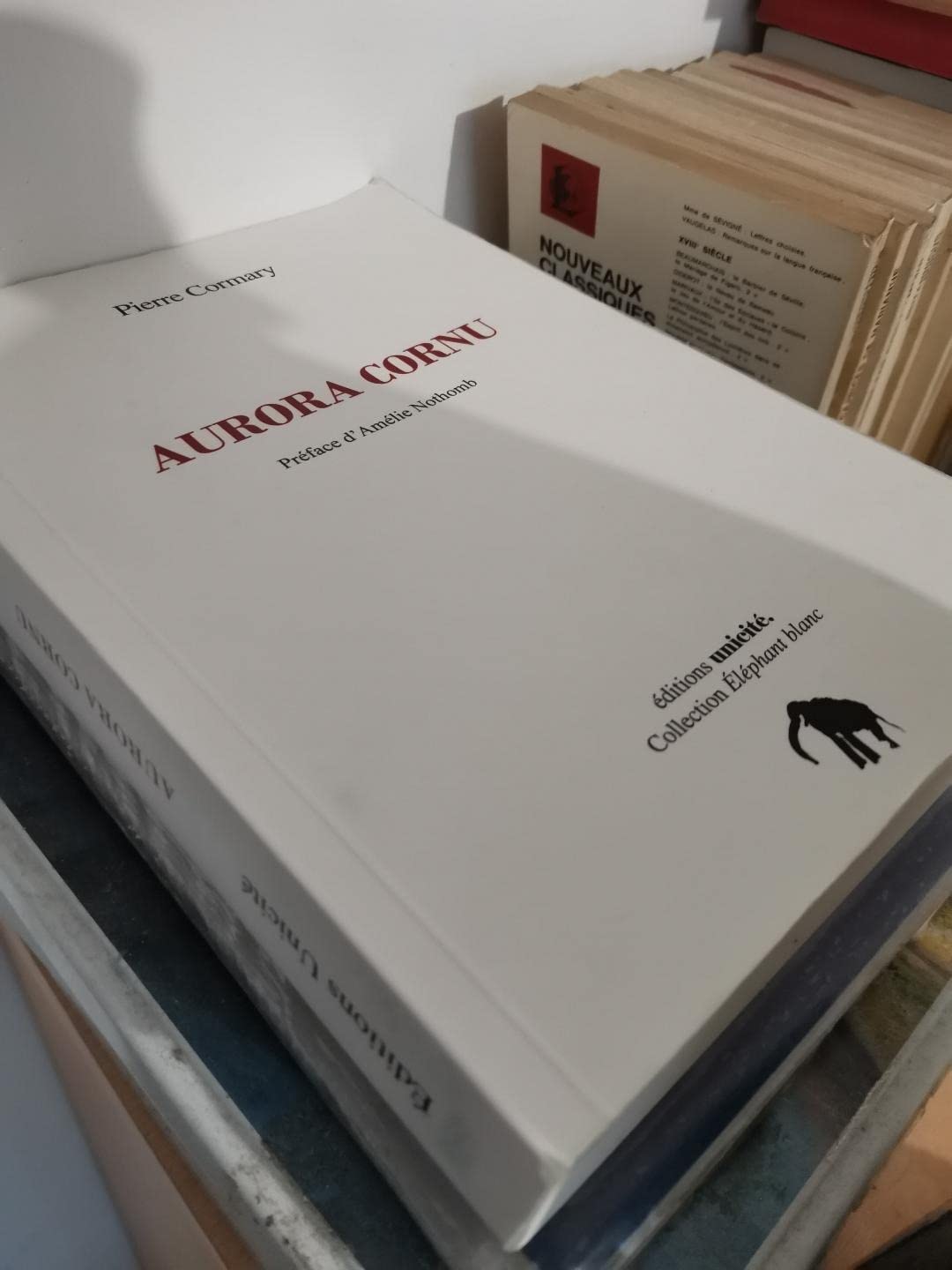 Amazon.fr - Aurora cornu : Préface d'Amélie Nothomb - Cormary, Pierre ...