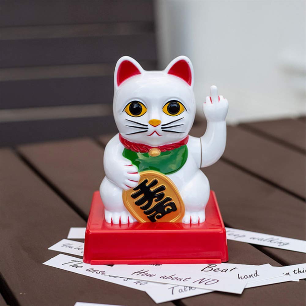 Cat Middle Finger Gif