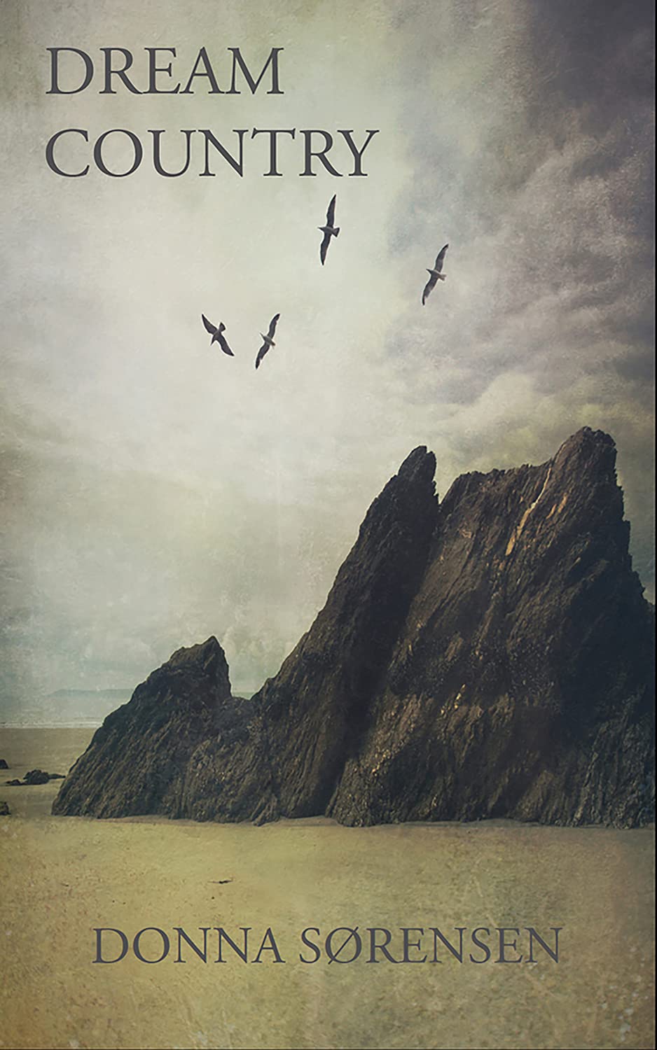 Dream Country: Sorensen, Donna: 9781848402508: Amazon.com: Books