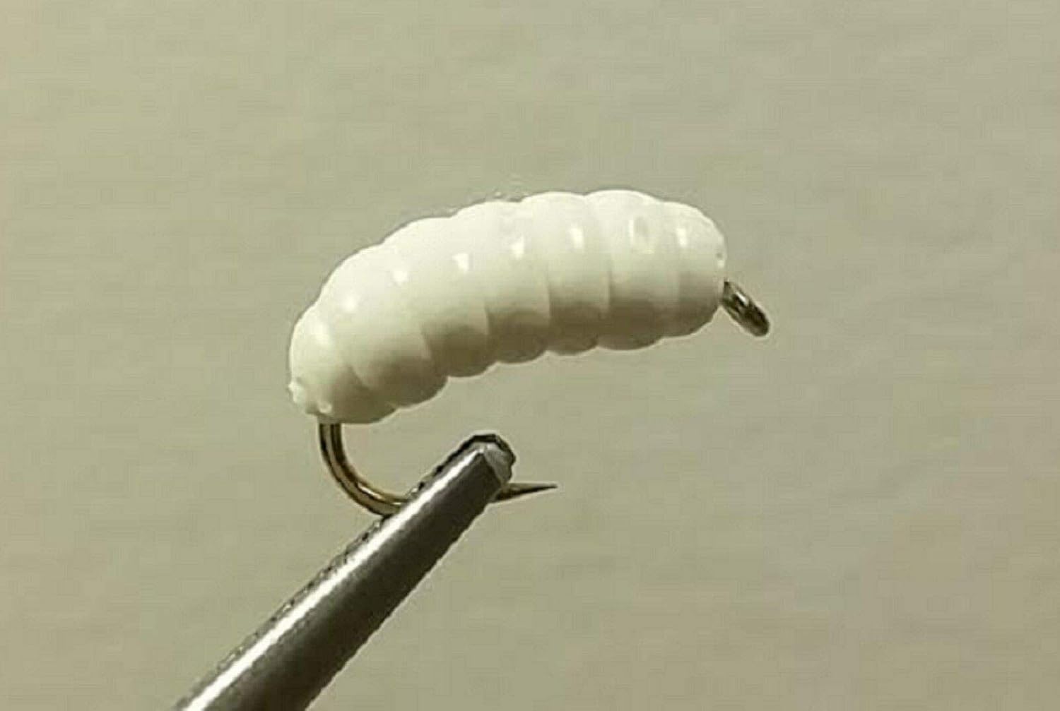 Amazon.com : Club Bulk 2 Dozen - Rubber Wax Worm Fly - White - Wet Fly ...