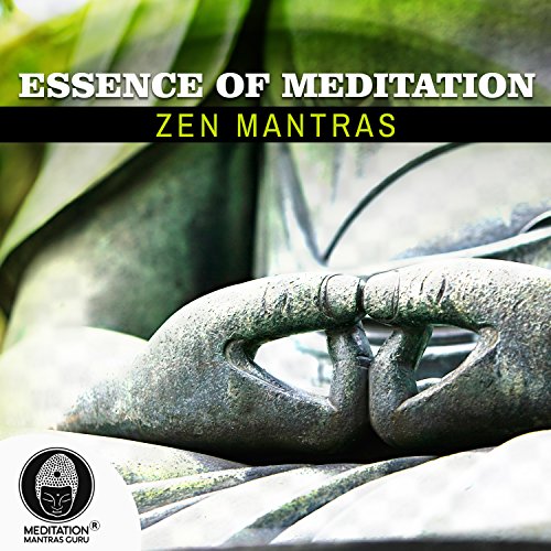 Amazon.com: Essence of Meditation: Zen Mantras, Highest Attention ...