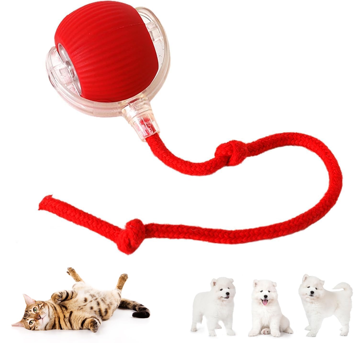 Pet Supplies : Interactive Cat Toy Roller Ball Chewie Dog Ball, Sports ...