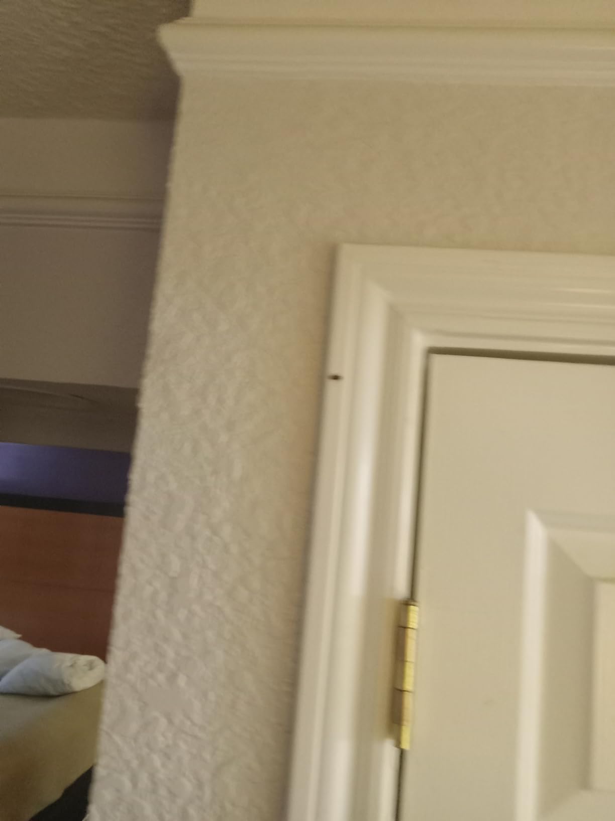 Amazon.com : Raid Deep Reach Fogger 4.5 Ounce (Pack of 1) : Home Pest ...