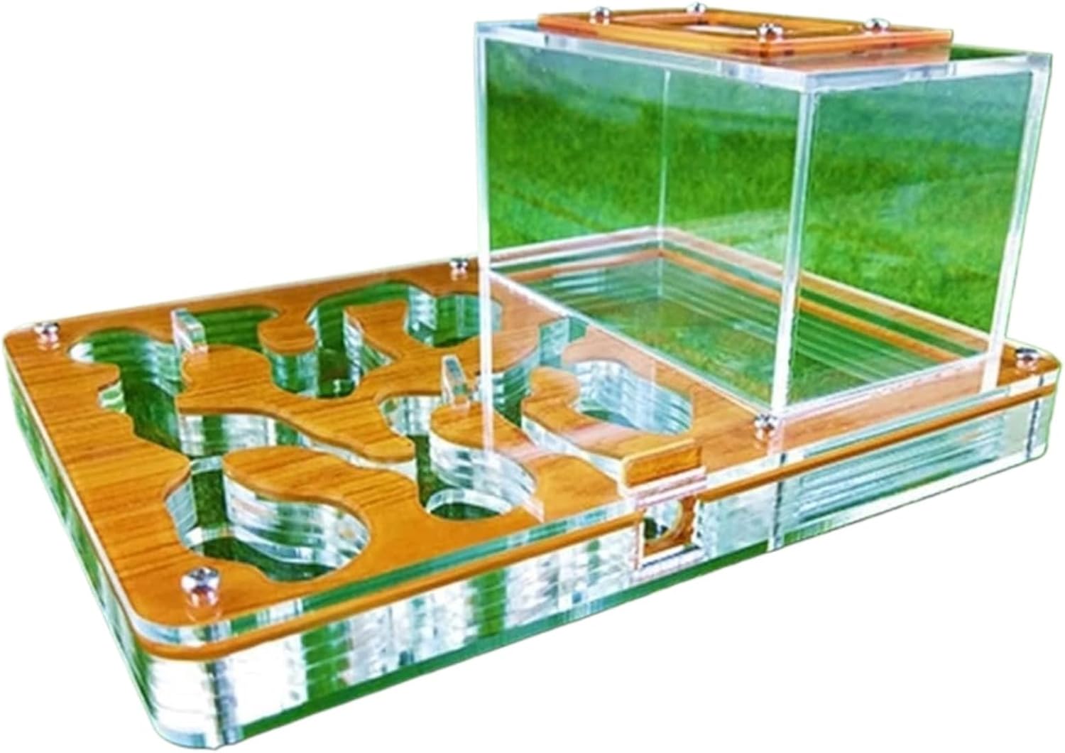 Amazon.com: TYVRBE Anthouse Ant Castle DIY Acrylic Ant Nest Farm ...