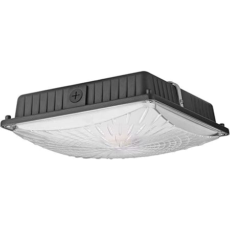 Lithonia Lighting CNY LED P1 40K MVOLT DDB M2 Canopy Light, Dark Bronze ...