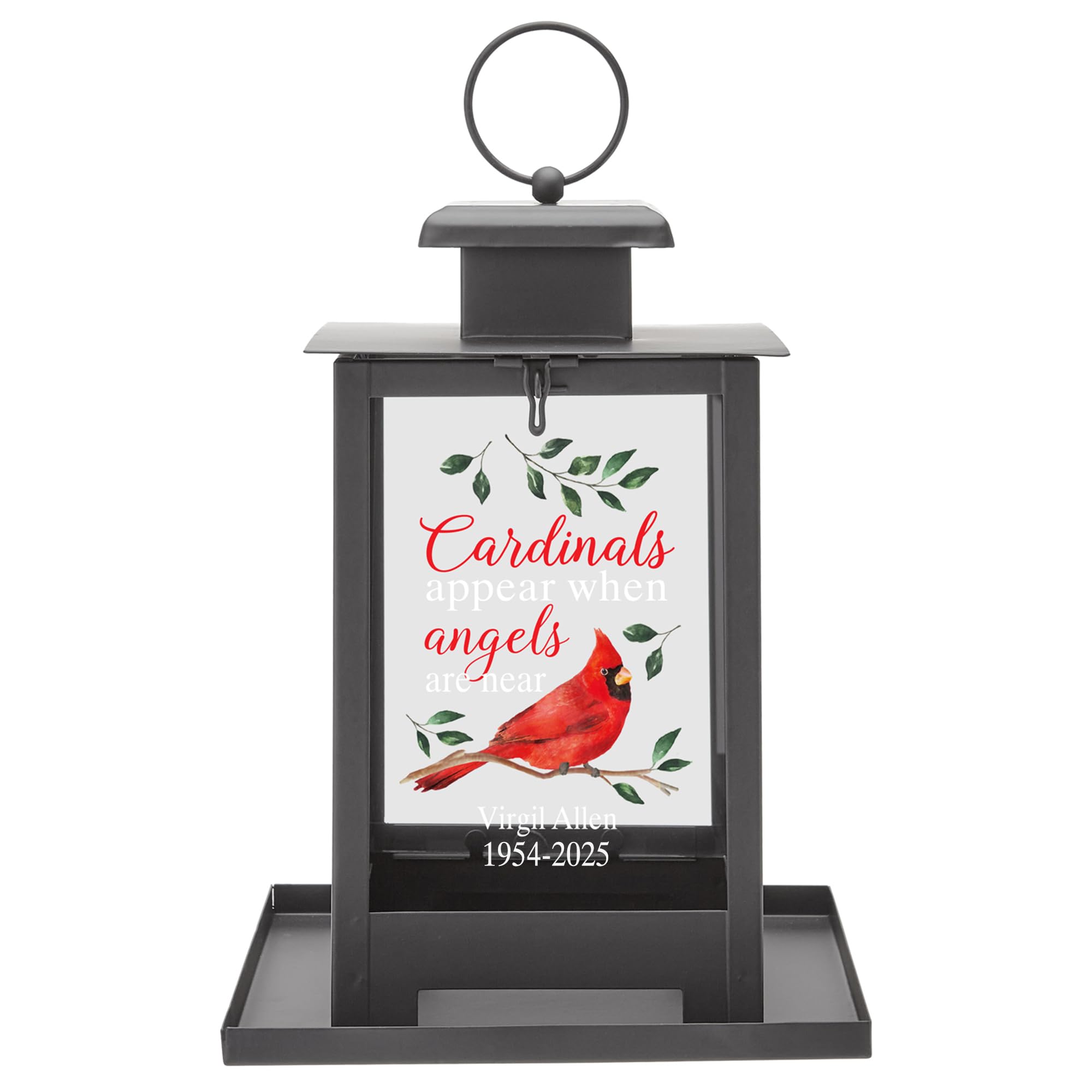 Amazon.com : Let's Make Memories Personalized Cardinals Appear When ...