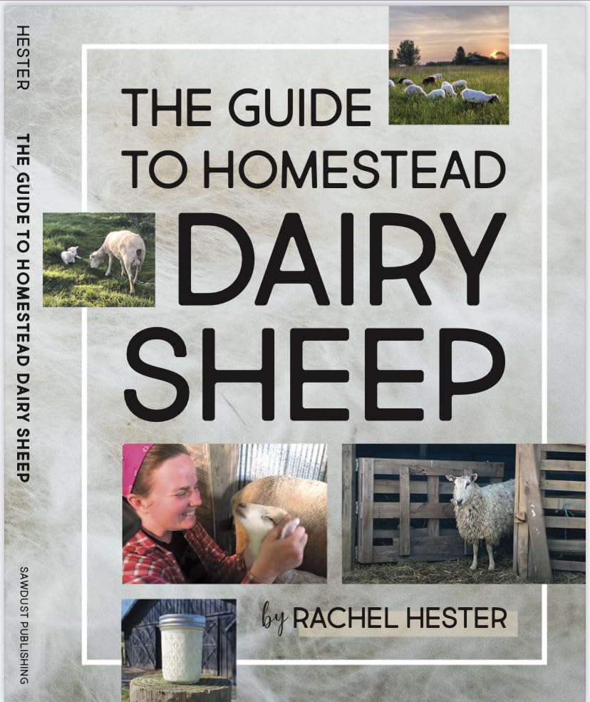 Amazon.com: The Guide to Homestead Dairy Sheep: 9780998381275: Rachel ...