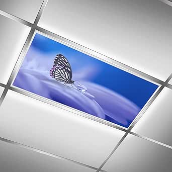 MSINMKOK 2ft x 4ft Fluorescent Light Covers Butterfly Kiss Purple ...