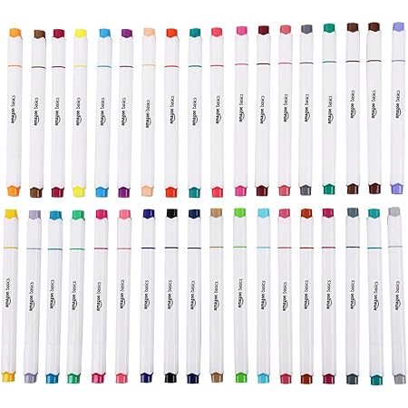 Amazon.com: BIC Intensity Permanent Markers Fashion, Fine Point ...
