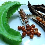 Amazon.com : Winged Beans -Dau Rong;Tour-Poo (Psophocarpus ...