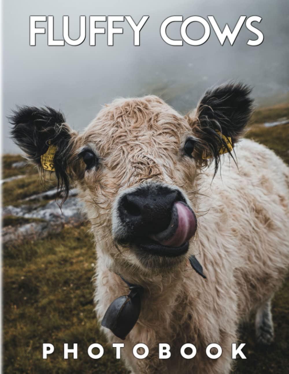 Fluffy Cows Photography Book: Photo Album Collection Of Adorable And ...