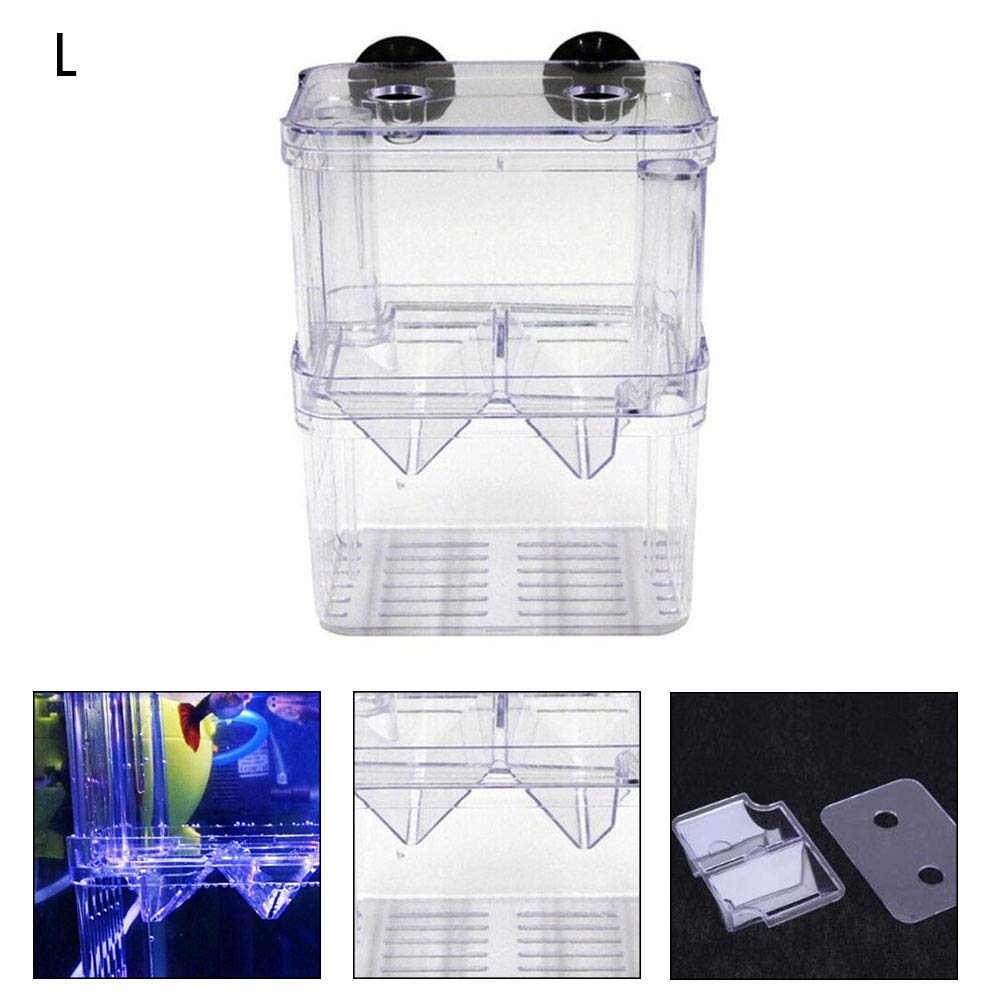 Buy Hihey Spawning Box Spawning Box Fish Breeding Isolation Box ...