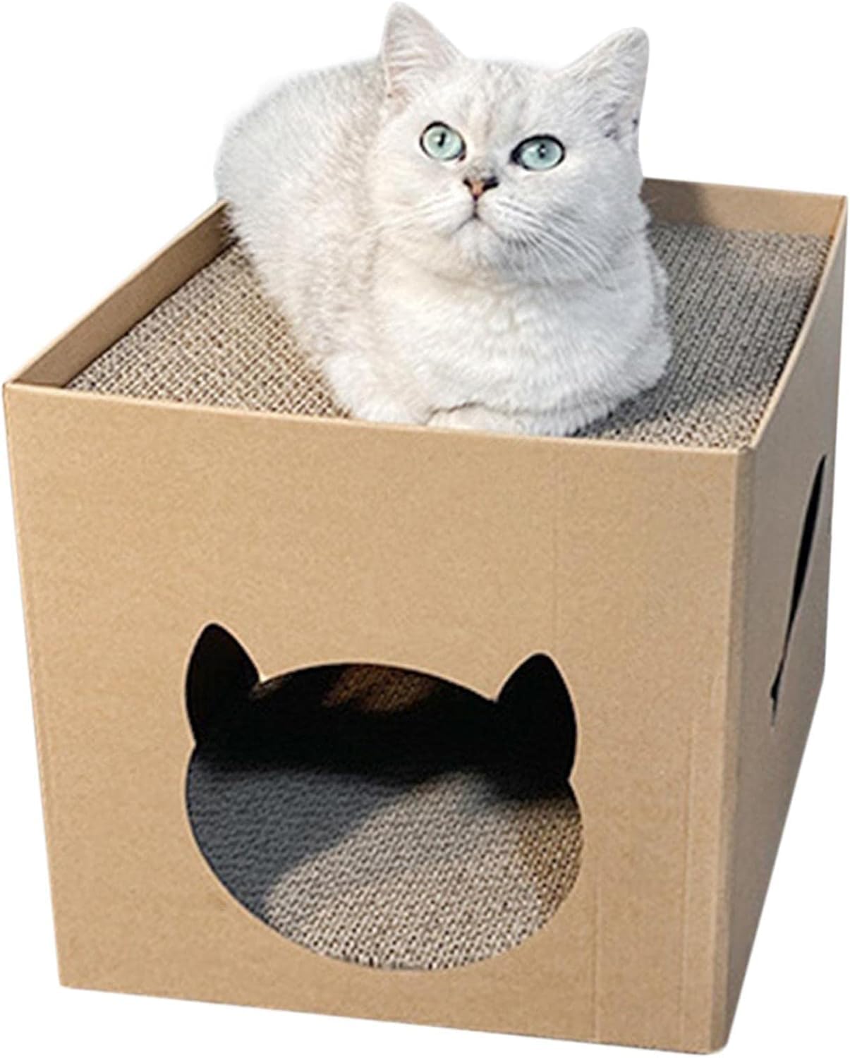 YAYY Cardboard Cat Scratching House - Indoor Cat House with Scratching ...