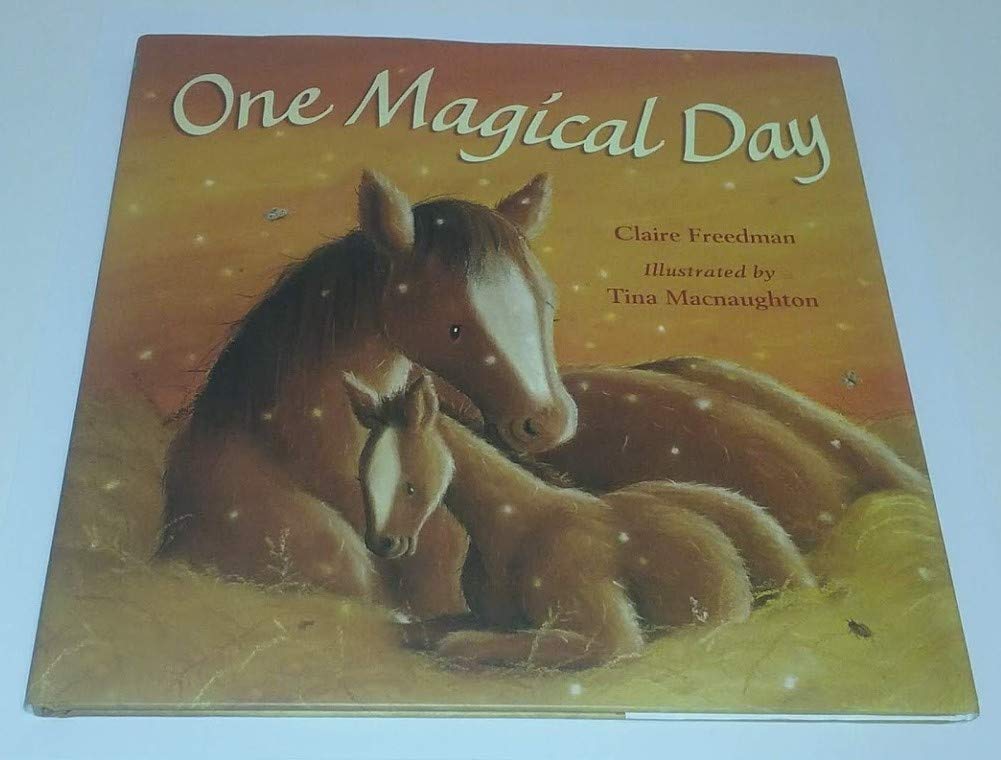 Amazon.com: One Magical Day: 9781561485673: Freedman, Claire: Books