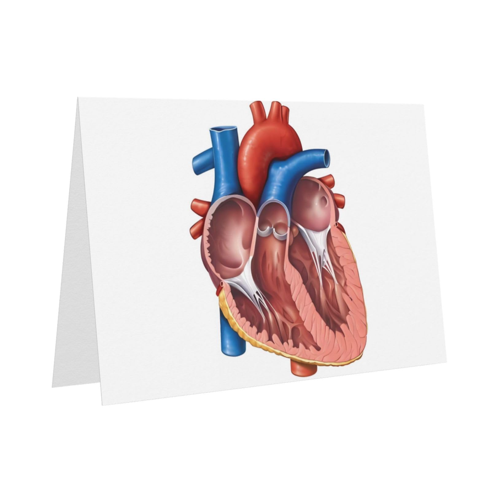 Human Heart Card