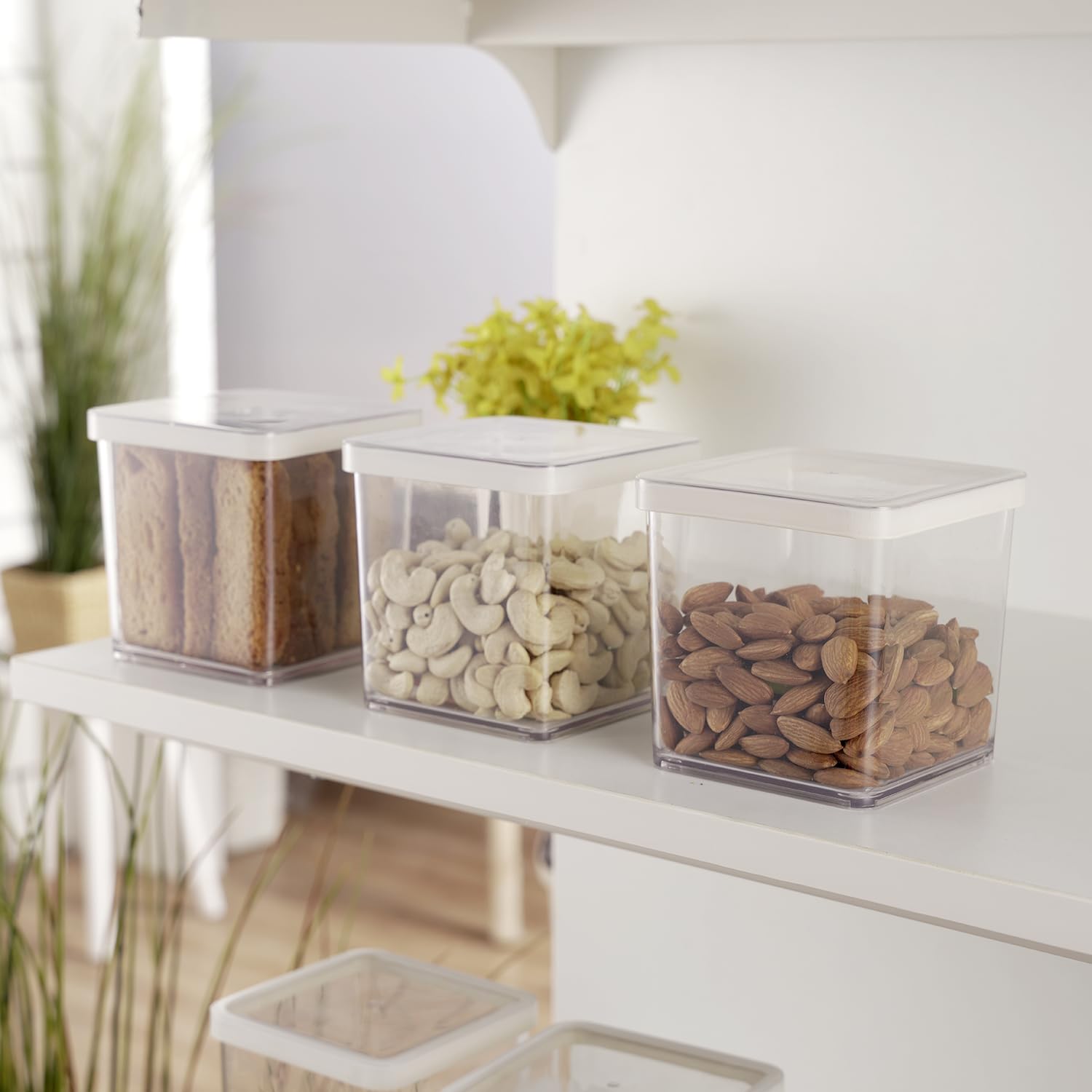 Buy Nayasa Nicola Container-1050 ML Set of 3 | Modern Glass-Look ...