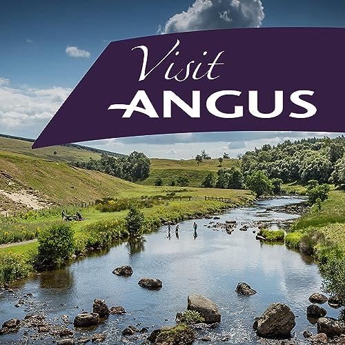 Visit Angus : Voiceworks: Amazon.in: Books