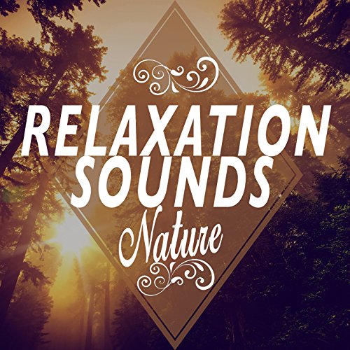 Amazon.co.jp: Relaxation Sounds: Nature : Relaxing With Sounds of ...