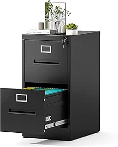 Amazon.com: Yukimo 2 Drawer File Cabinet, Vertical File Cabinet with Lock, Metal Locking Filing ...