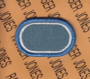 Amazon.com: D Co 110th MI Bn LRSD Long Range Surveillance Airborne ...