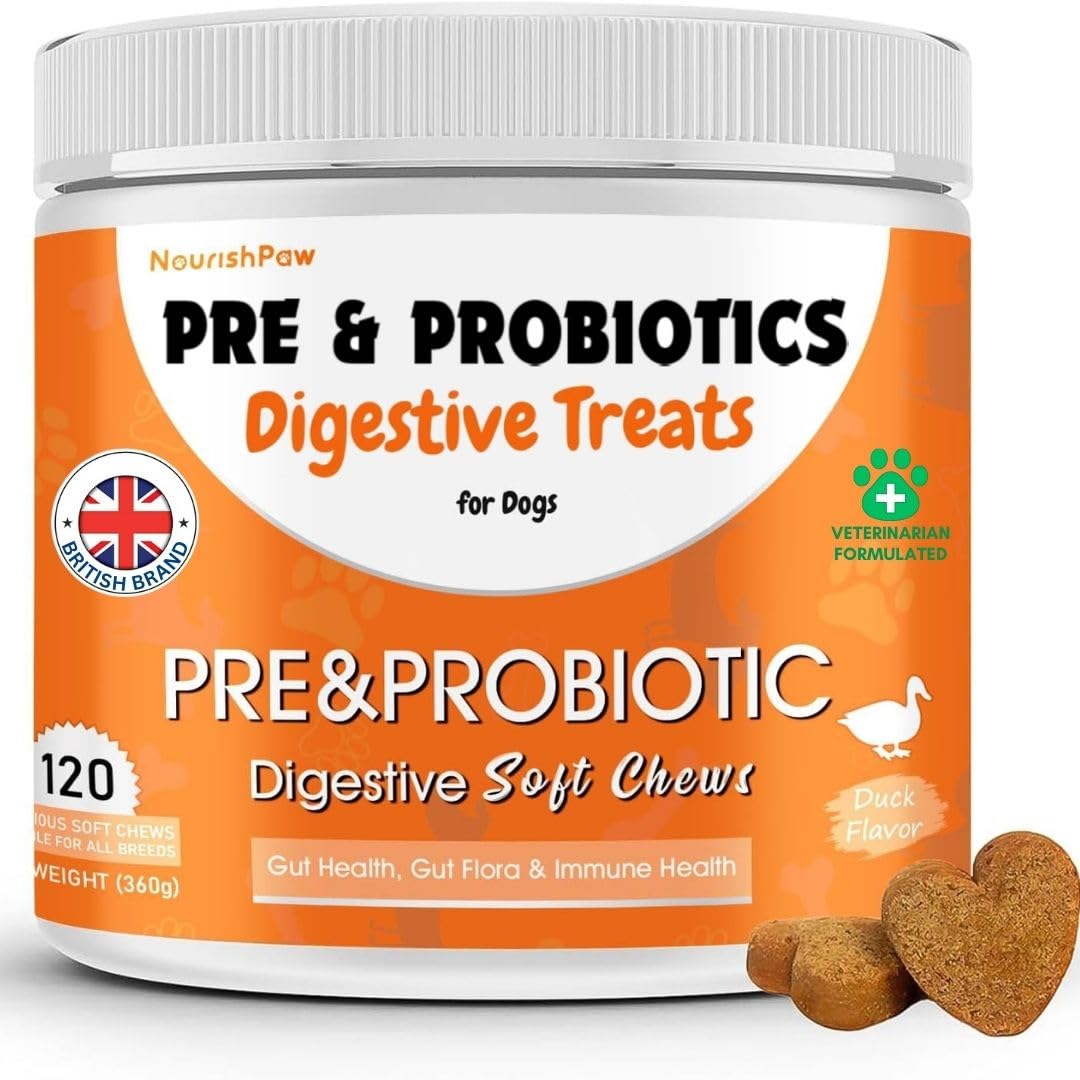 Pre, Pro & Postbiotics For Dogs - Digestive Treats - Optimal Gut Health ...