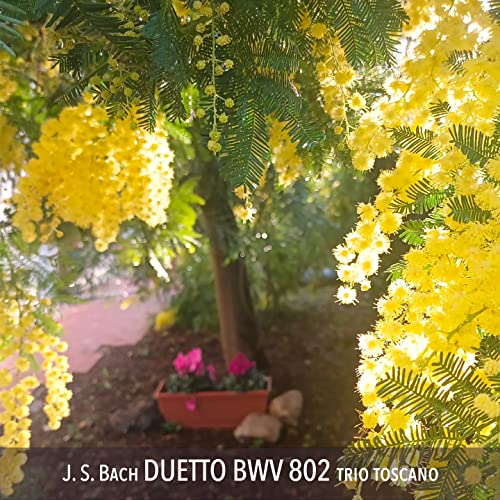 Duetto in E-Flat Major, BWV 802 (Per flauto e organo) by Trio Toscano ...