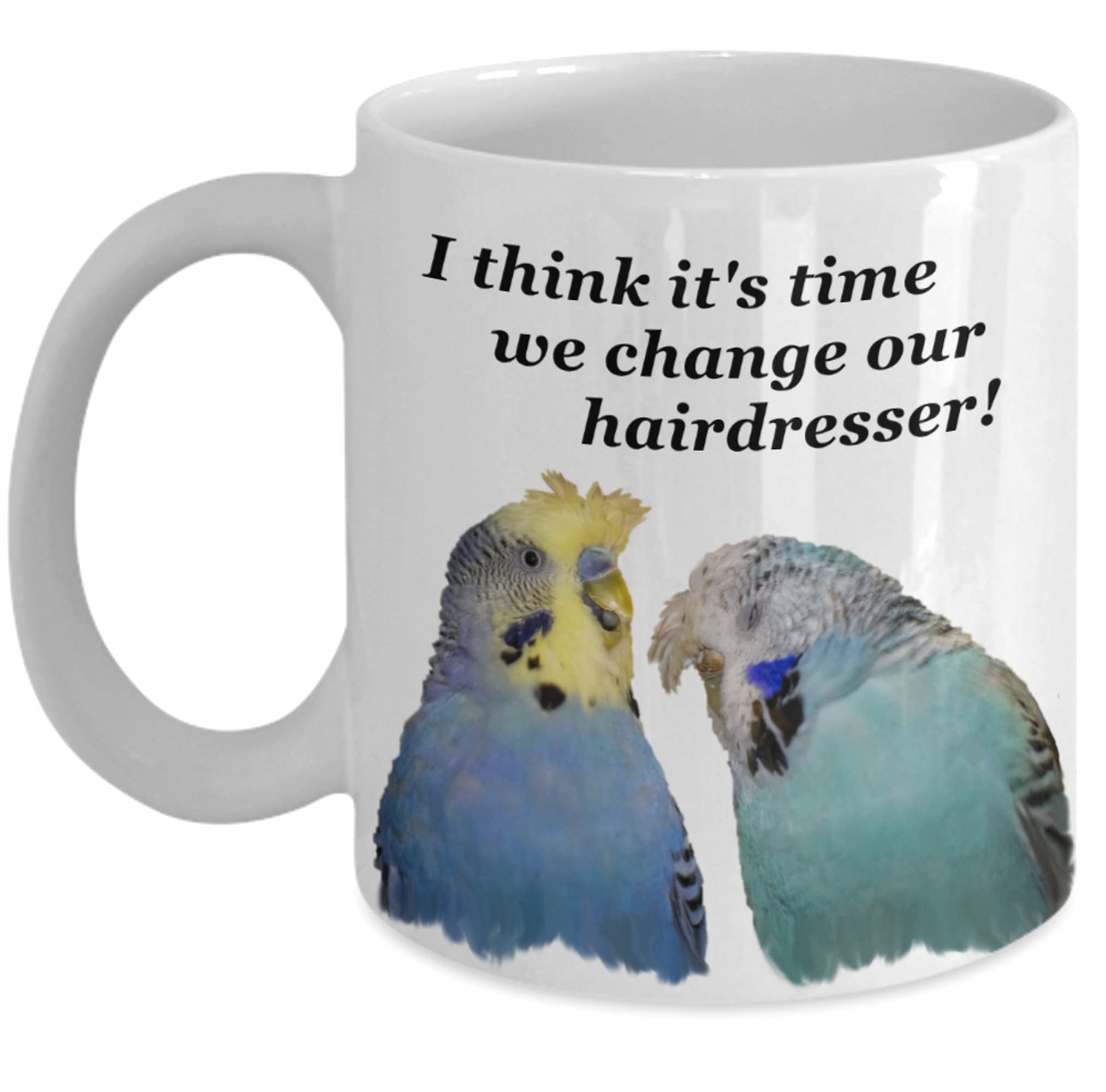 Fotos De Pericos Memes Hilarious Bird Memes