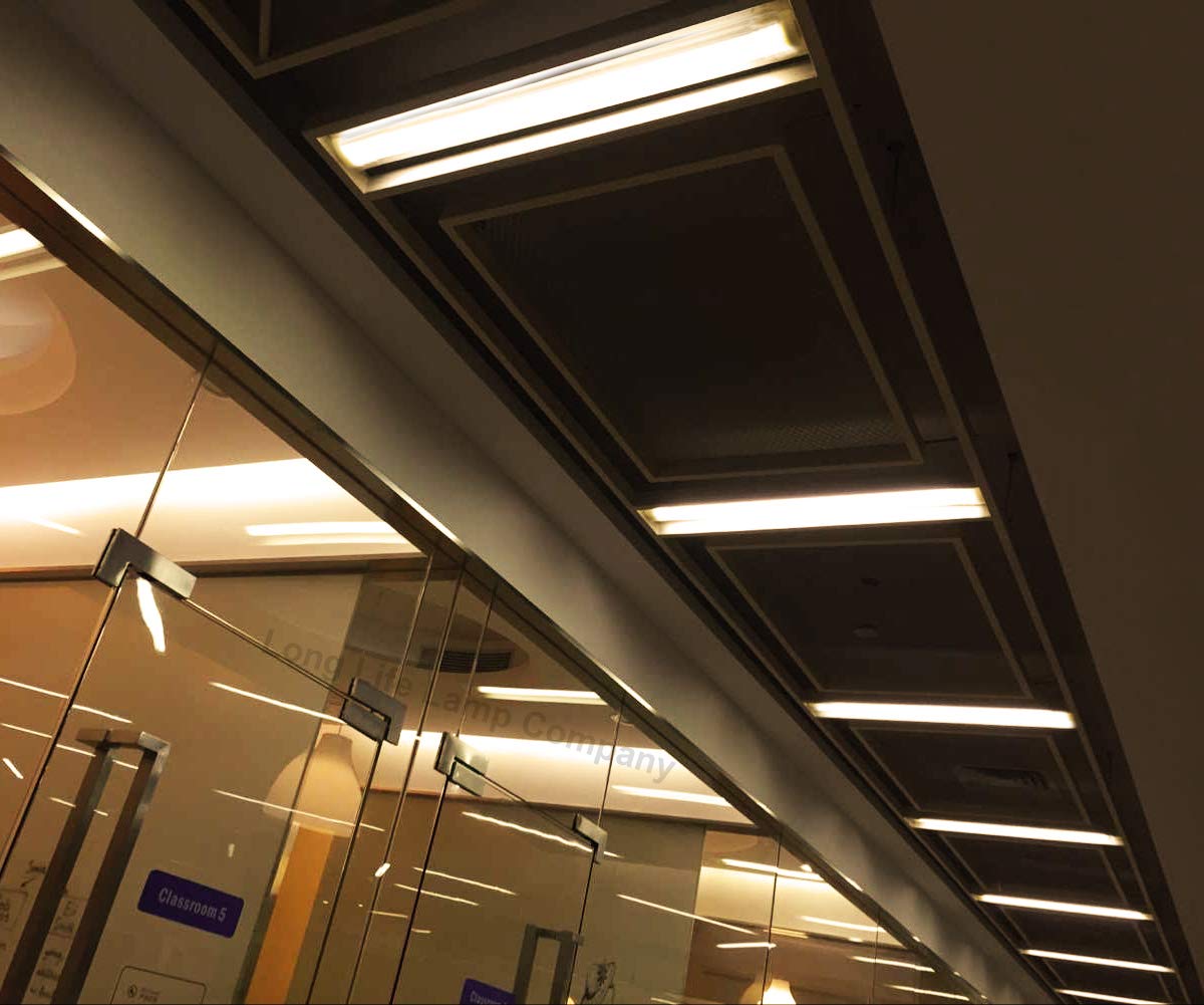 Fluorescent Lights For Suspended Ceilings