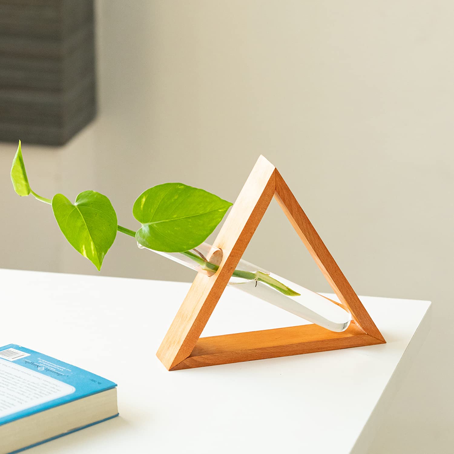 ExclusiveLane 'Tilted-Triangle Glass Garden' Test Tube Planter for Home ...