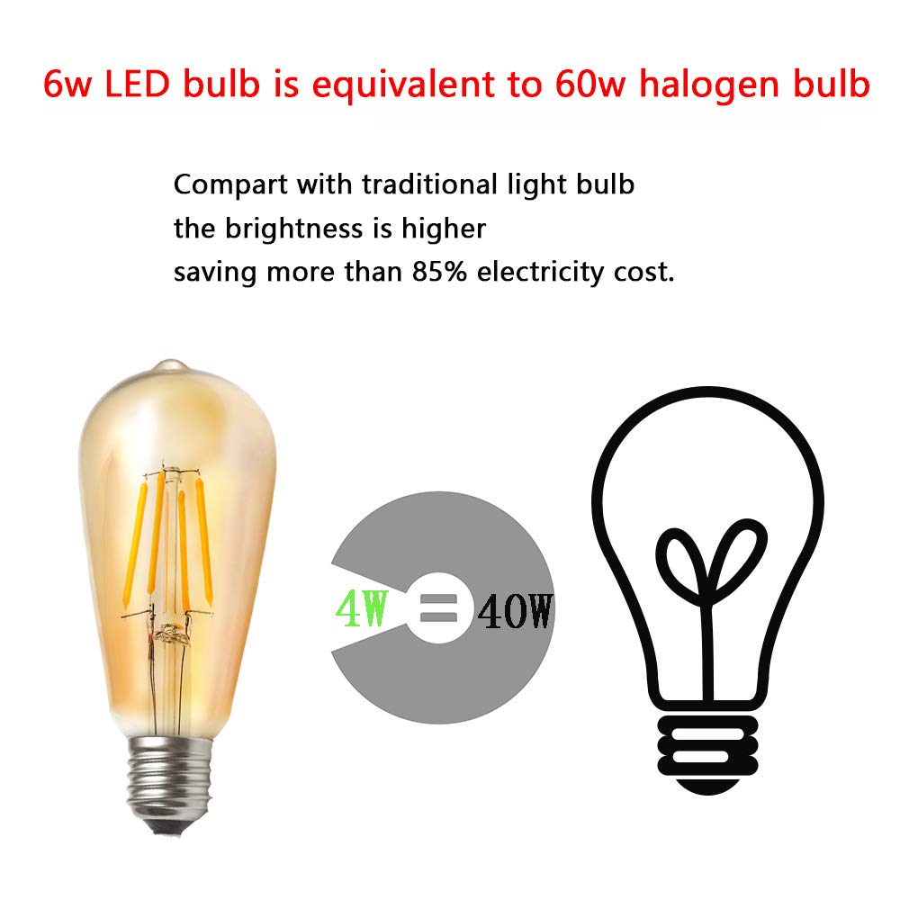 Old Fashioned Edison Bulb Light