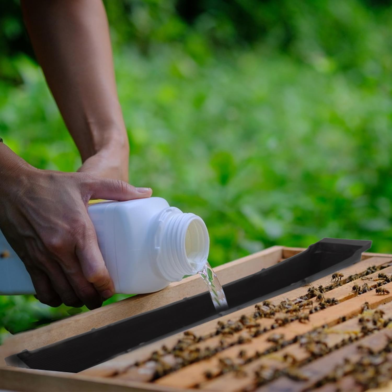 Snapklik.com : 5L Bee Hive Feeder, Honey Bee Feeder Plastic Deep Frame ...