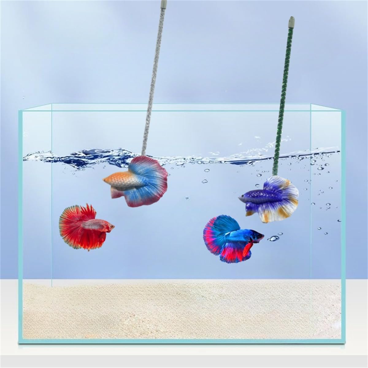 Betta Fish Flare Toy