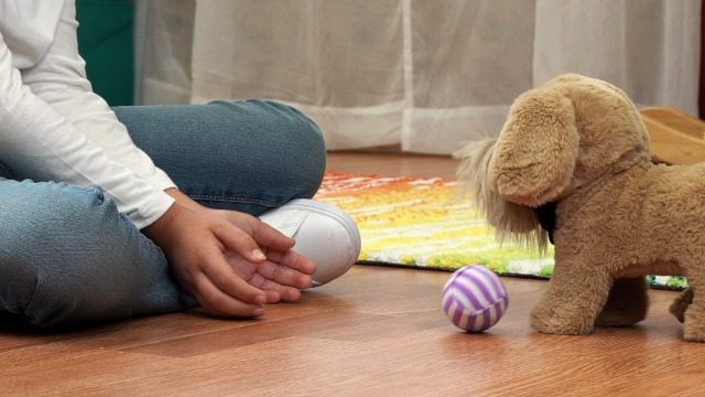 Watch Real life toy dog that walks and barks! on Amazon Live