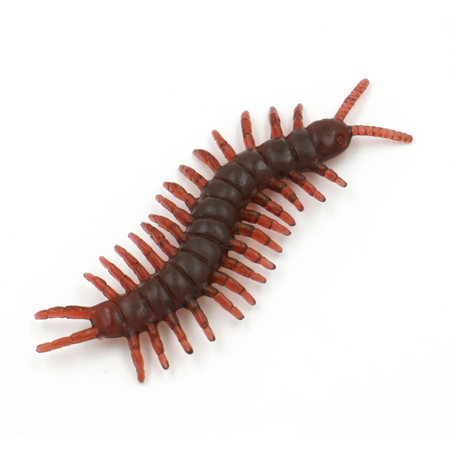 Amazon.com: Cooplay 30pcs Vintage Mock Fake Plastic Centipede ...