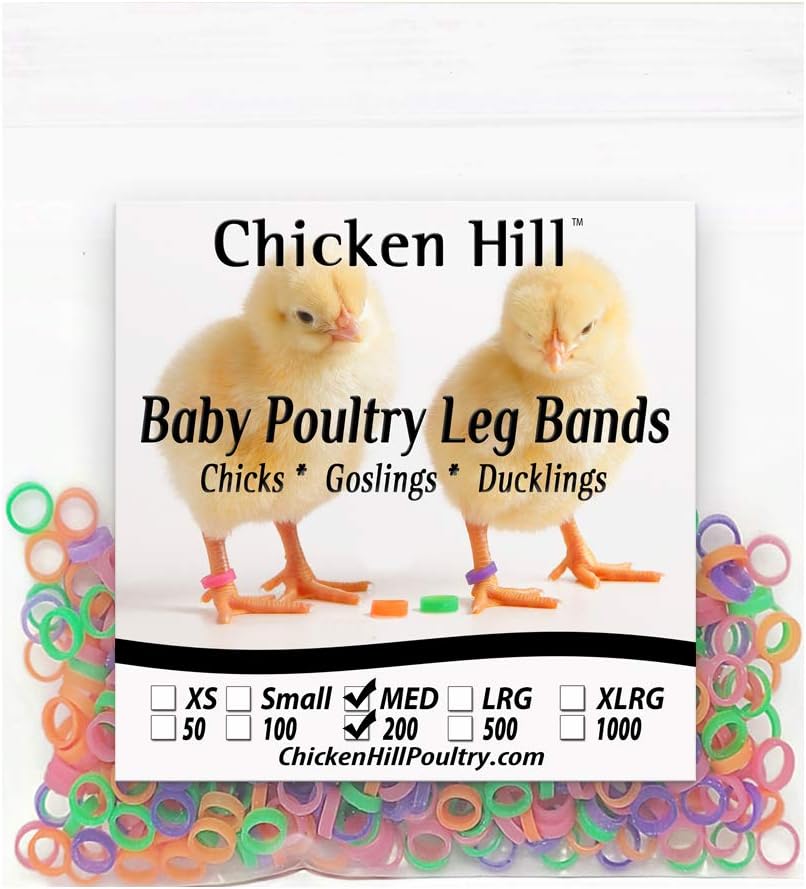Amazon.com : Baby Poultry Leg Bands 1/4" Medium Chick (100) : Patio ...