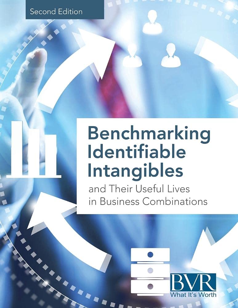 Amazon.com: Benchmarking Identifiable Intangibles and Their Useful ...