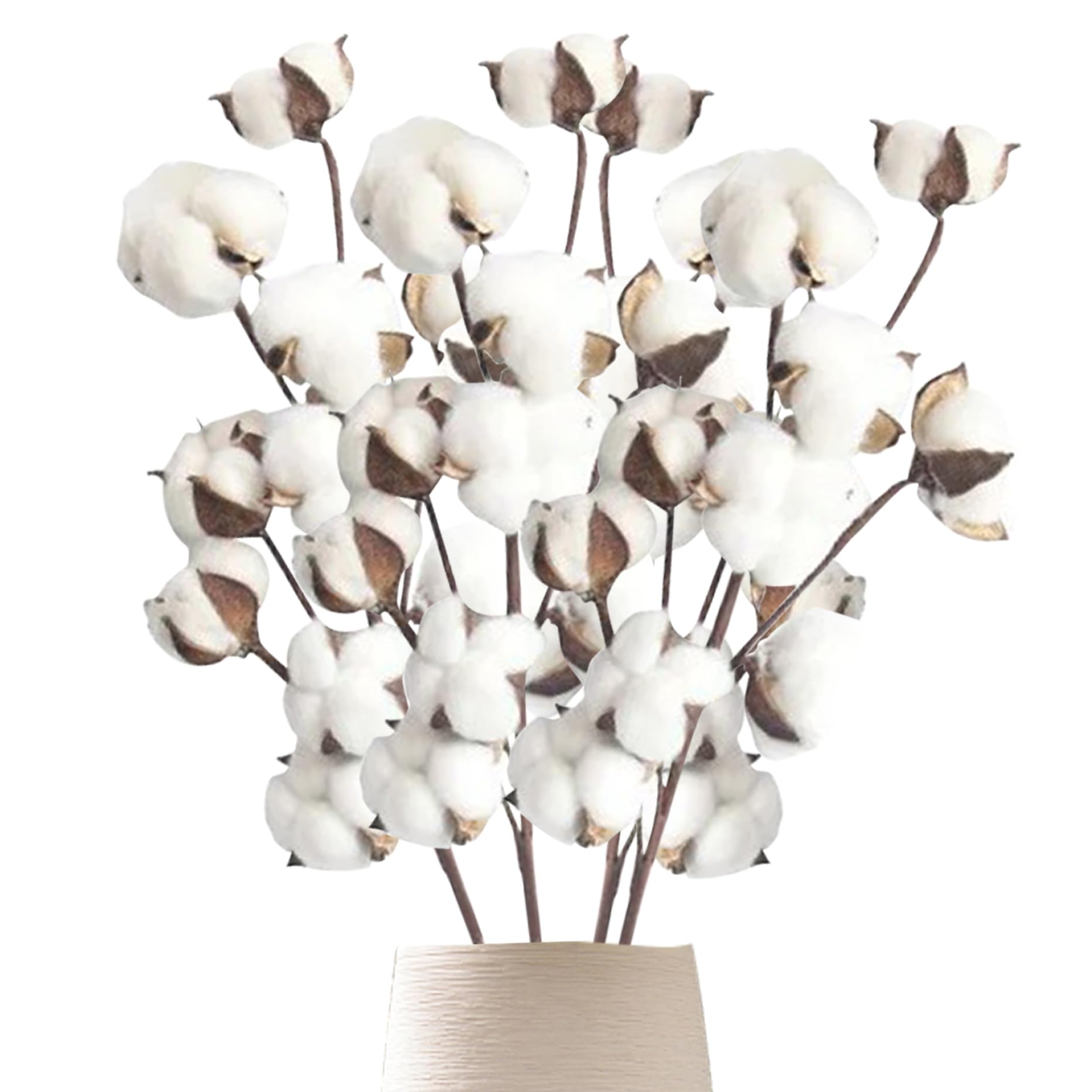 Amazon.com: lnnlikk Cotton Stems 4Pcs 21inch Cotton Flowers Artificial ...