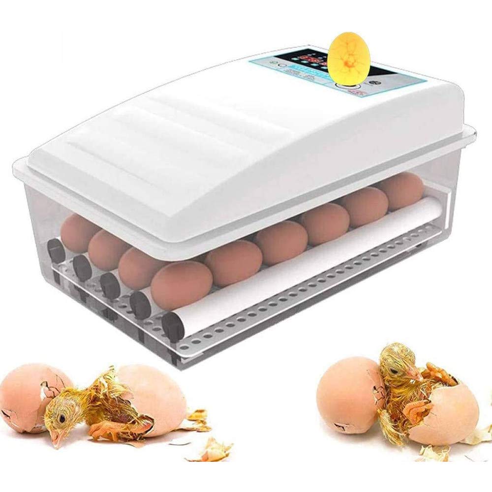 Buy Incubator Fully Automatic 6-24 Egg Incubator, Incubator Incubator ...