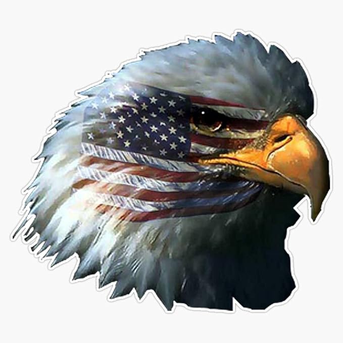 Amazon.com: BZ Trading American Flag Bald Eagle Patriotic Vinyl Decal ...