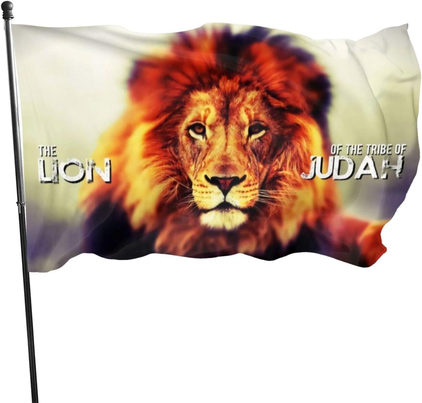 Amazon.com : Ali Yee Tribe of Judah Lion 3 x 5 Feet Flag -Uv Fade ...