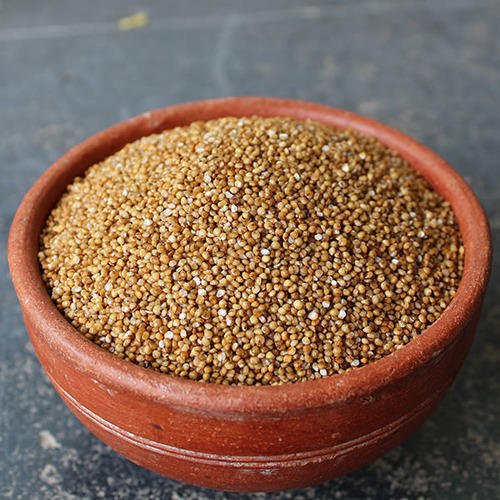 Buy SriSatymev Kangani Seeds for Bird Feed 500g Online at Low Prices in ...