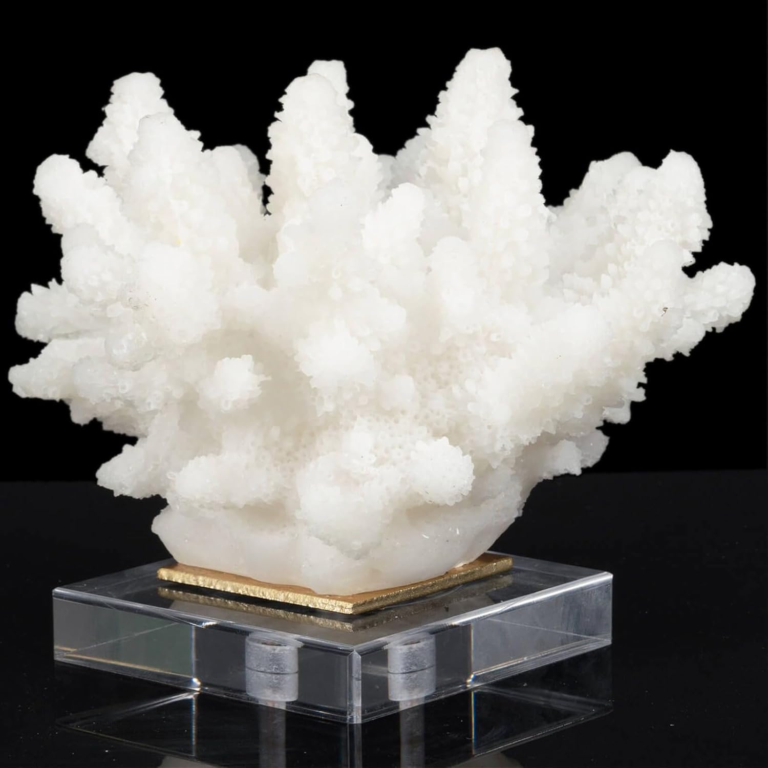 Amazon.com: Hjpzrui Faux Coral Decor - Resin Coral Home Decor with ...