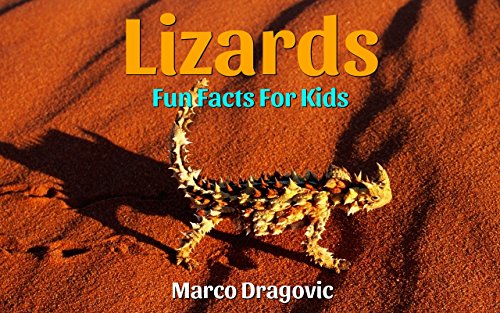 Lizards: Fun Facts For Kids, Picture Books For Kids - Kindle edition by ...