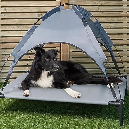 Dog Murphy Bed – The 15 best products compared - Wild Explained