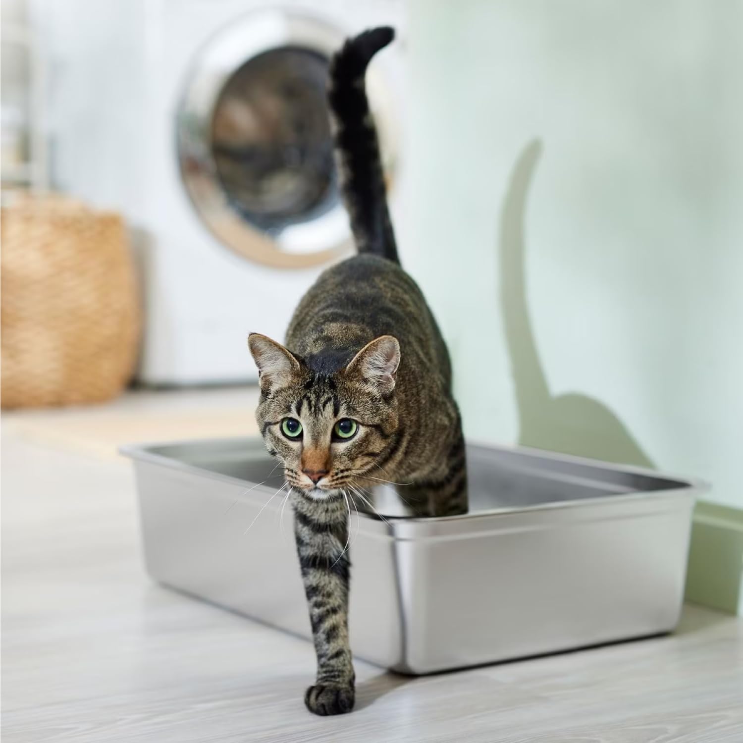 Stainless Aluminum Cat Litter Box, Great Litter Box, High Sides, Does ...