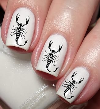 Amazon.com: Scorpion Nail Art Decal Sticker : Beauty & Personal Care